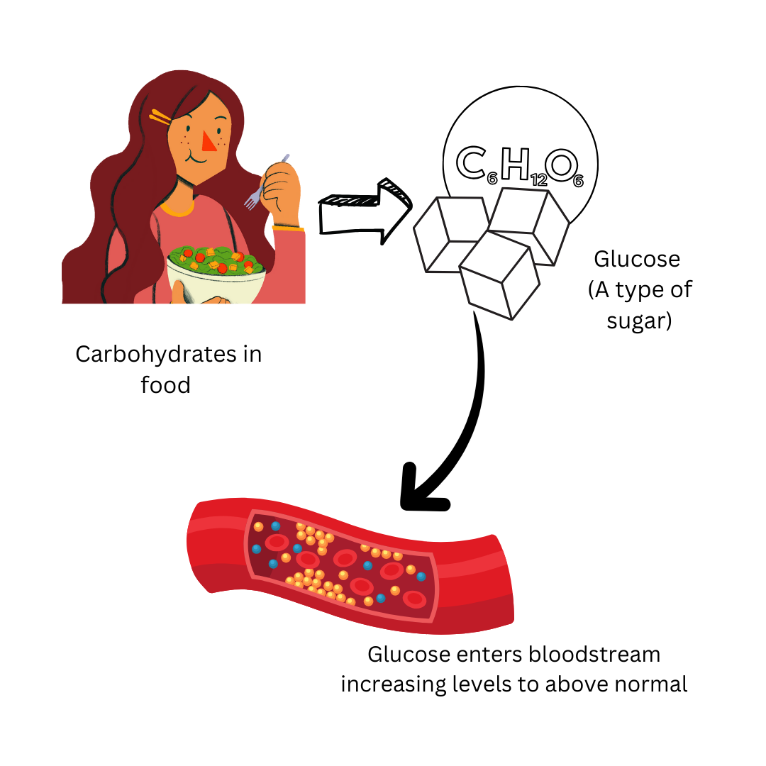 The science behind blood glucose control: unveiled – Your Medication ...